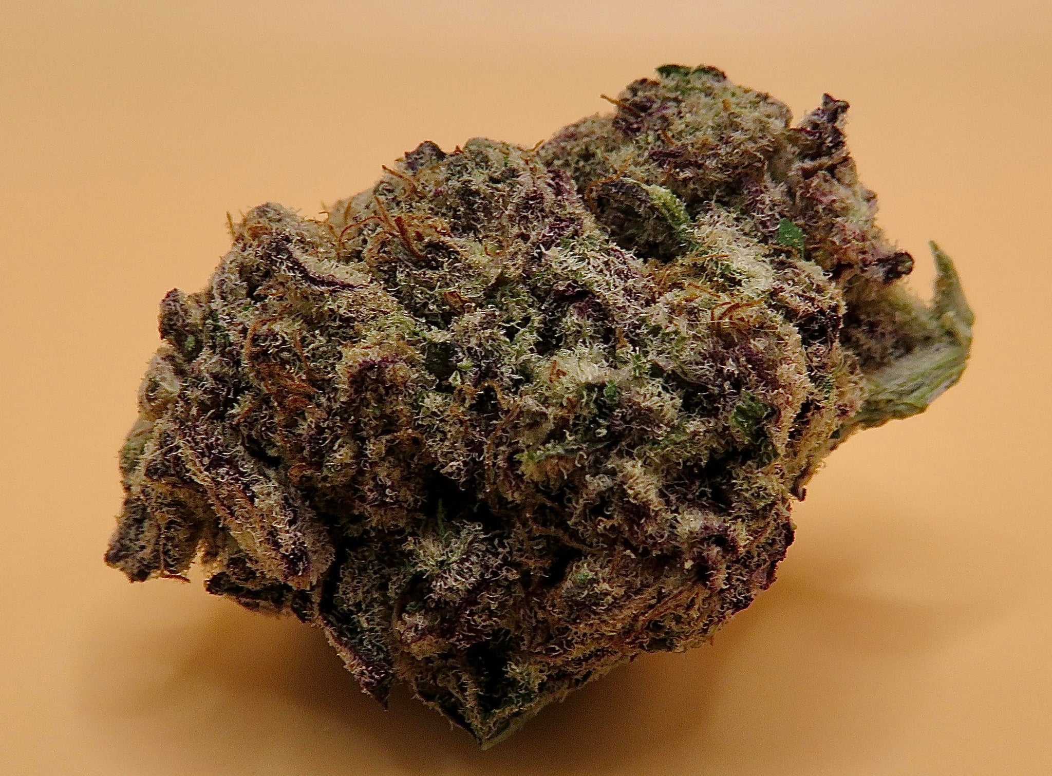 Fruit Punch Weed Strain | Energetic Sativa | Seaweed Delivery San Diego ...