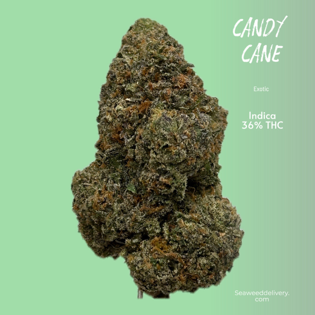 Candy Cane Runtz Weed Strain - 36% THC - Elevate Your High ...