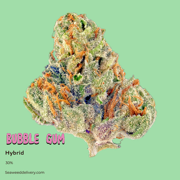 Bubble Gum Weed Strain - SeaweedDelivery
