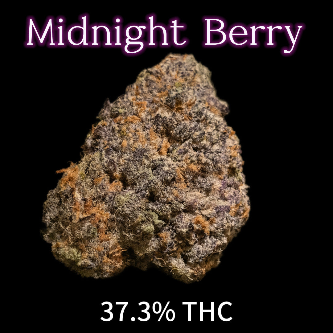 Midnight Berry Weed Strain (37.3% THC Exotic Hybrid) – Flavorful Indica ...