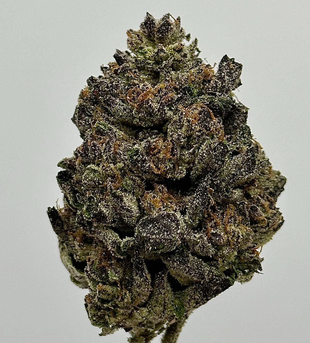 Jealousy Mintz Weed Strain at Seaweed Delivery – Refreshing Aroma ...