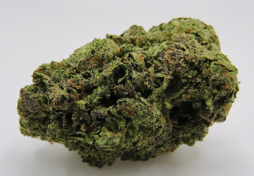 Zkittlez X Runts Hybrid Weed Strain - 29% THC, Fruity Flavor | Exotic ...